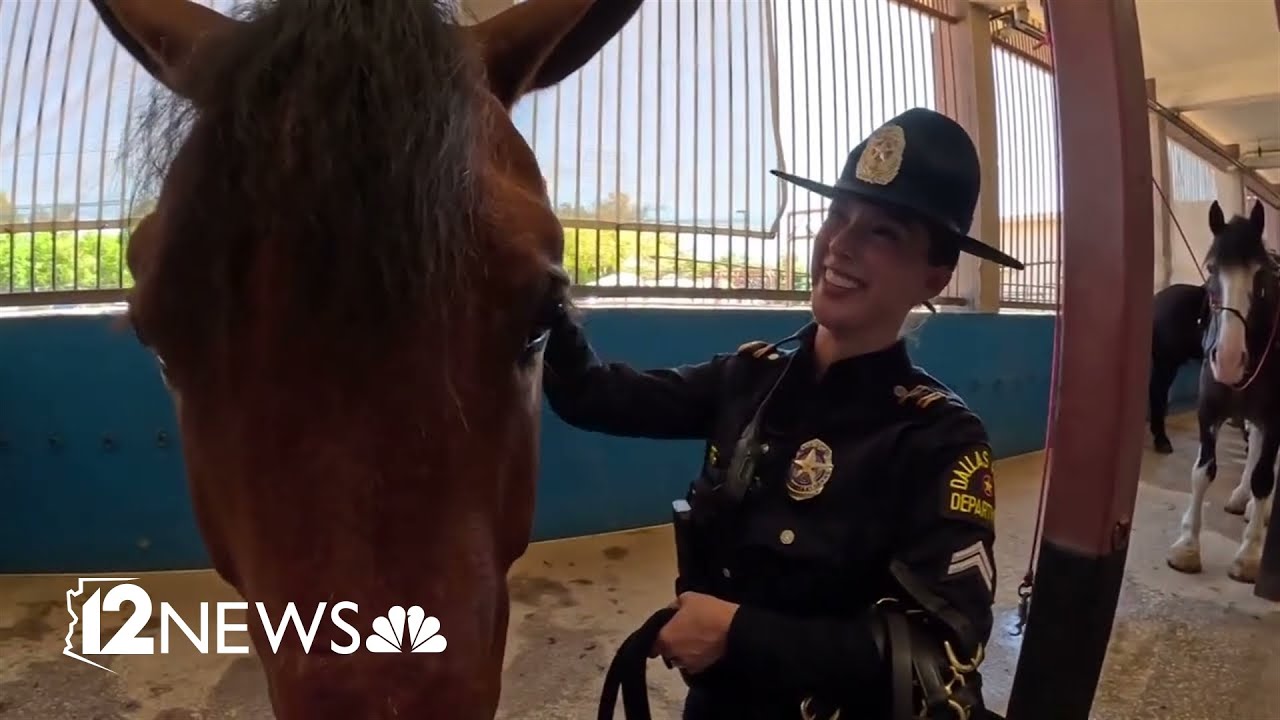 Mounted patrol on display at Texas State Fair - YouTube