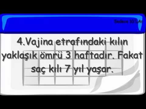 Kadın cinsel organı hakkında 10 bilgi
