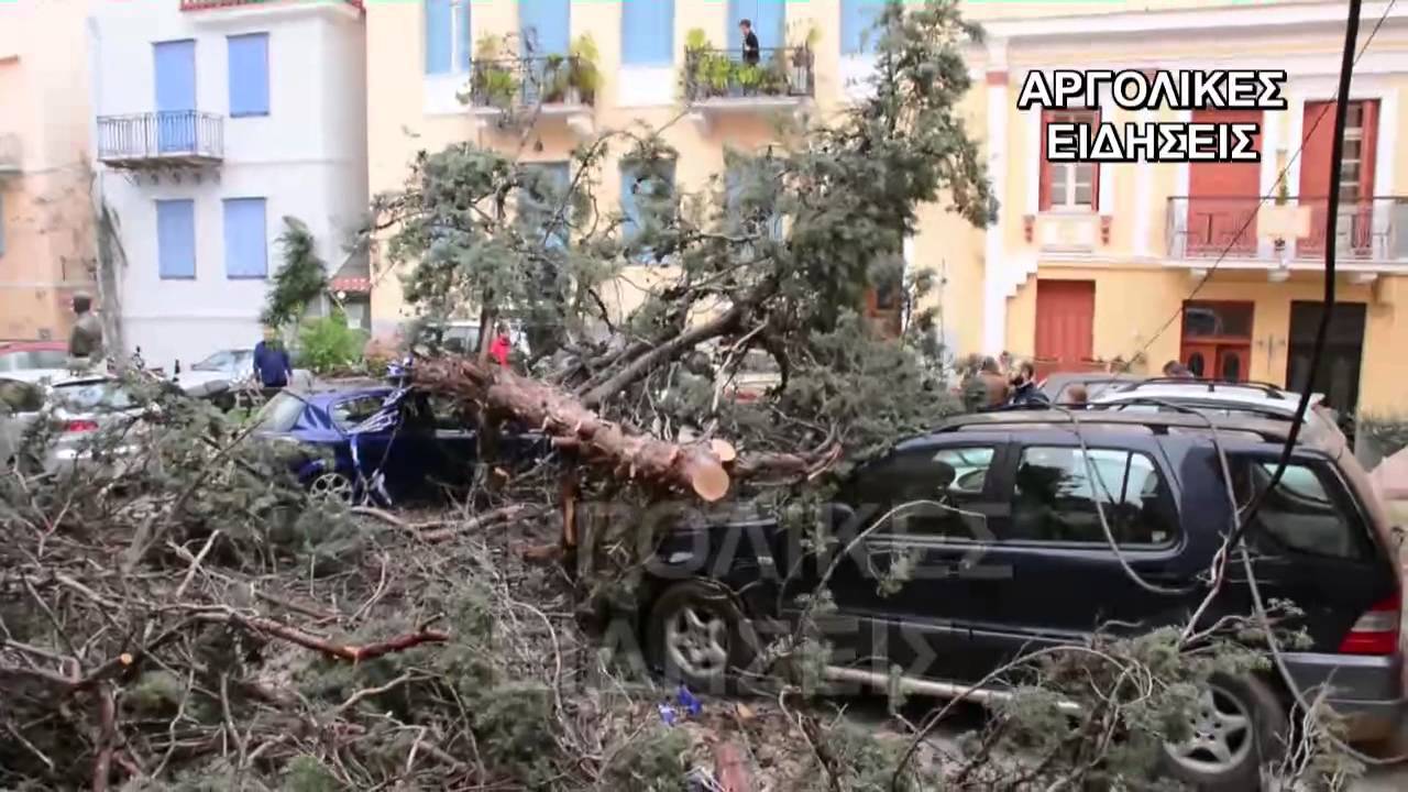 ΠΤΩΣΗ ΔΕΝΤΡΟΥ ΣΤΟ ΝΑΥΠΛΙΟ - YouTube