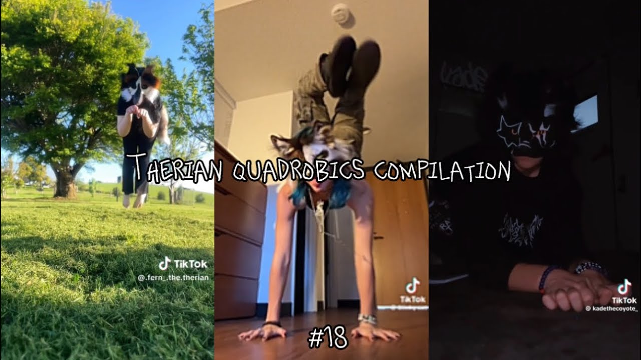 Therian/quadrobics compilation || #18 || - YouTube