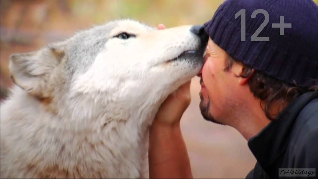 Nat Geo Wild HD Advert January 2013 hd1080p - YouTube