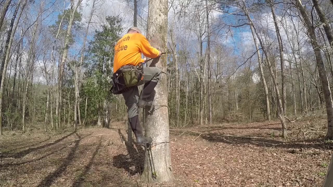 Wild Edge Stepps and Perch first impressions and H2 Saddles (part 2 ...