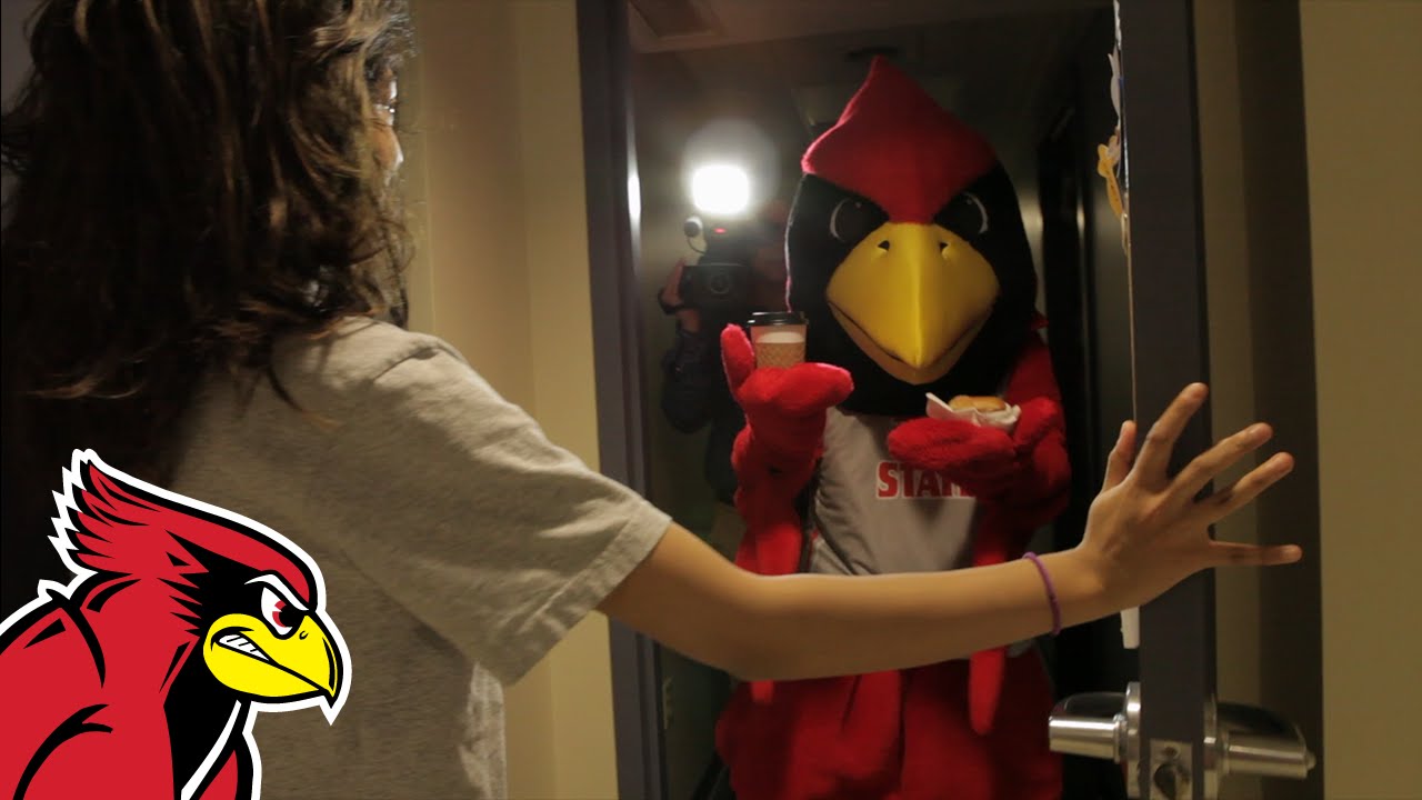 Reggie Redbird’s finals week deliveries - YouTube