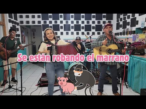 Se están robando el marrano - Valeria La Sonrisa Del Acordeón - YouTube