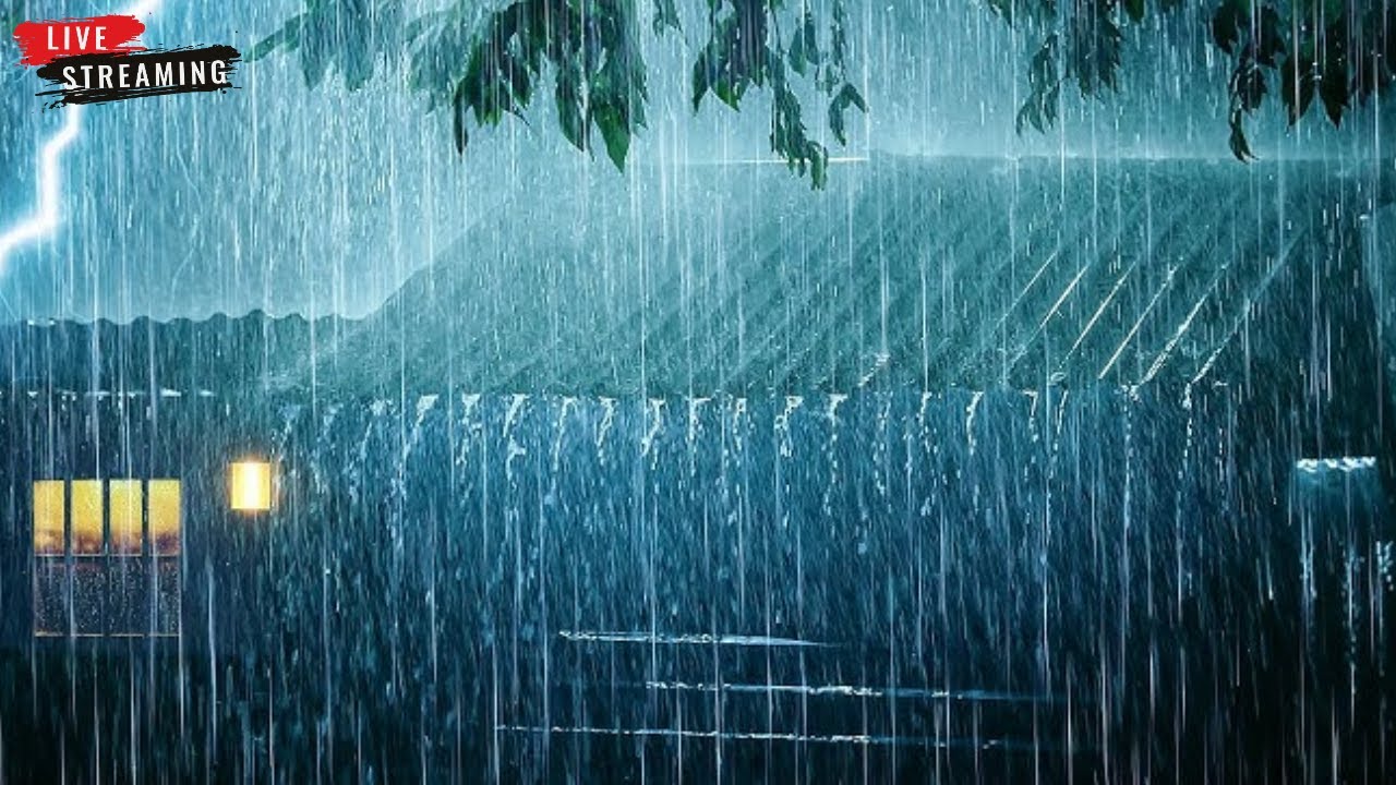 rain sounds ASMR, rainstorm and thunder sounds for sleep , refresh your ...