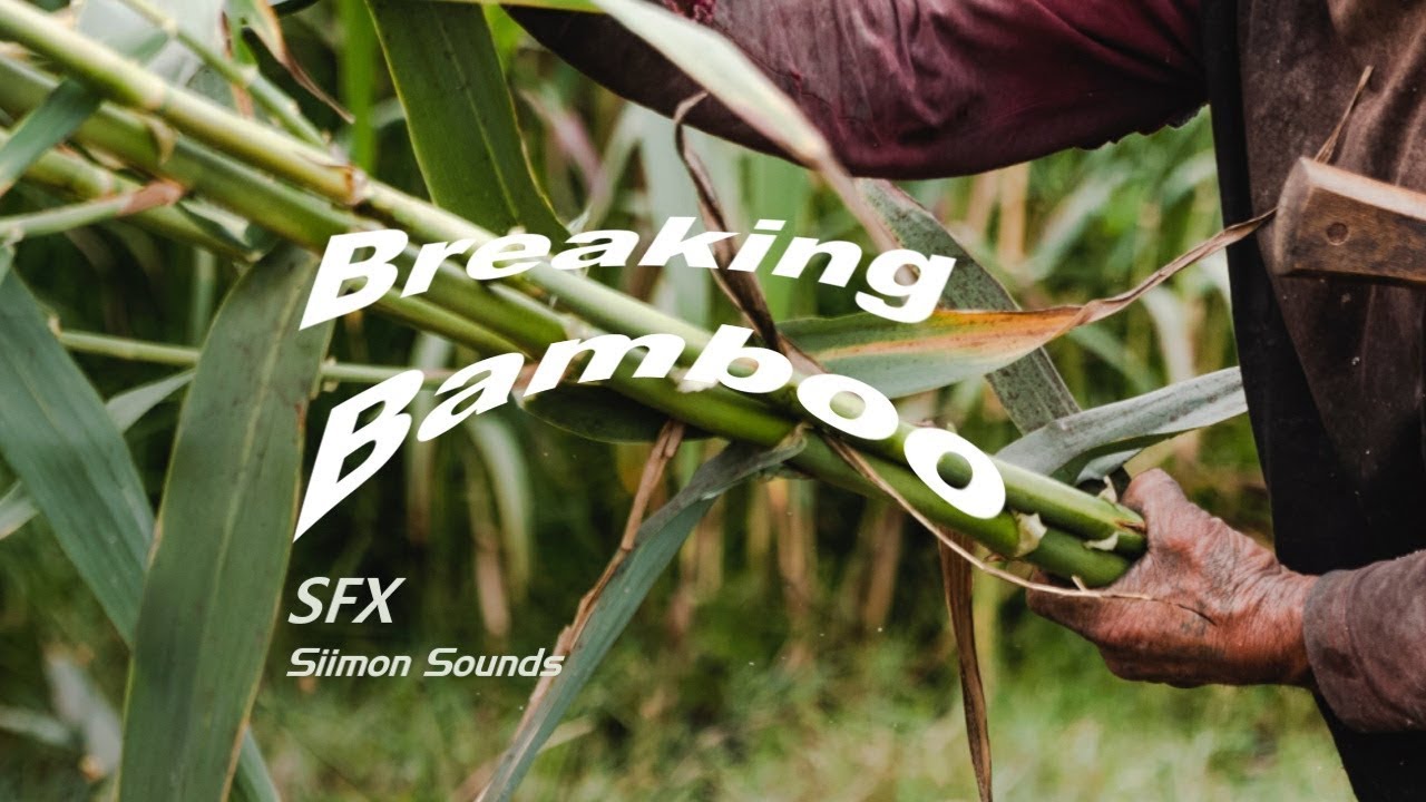 Breaking Bamboo - Sound Effect (SFX) - YouTube