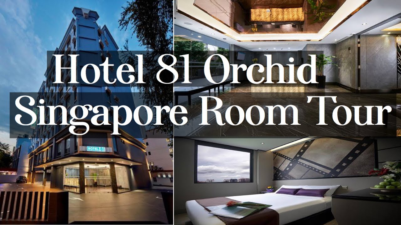 Hotel 81 Pasir Panjang Singapore at Brianna Hort blog