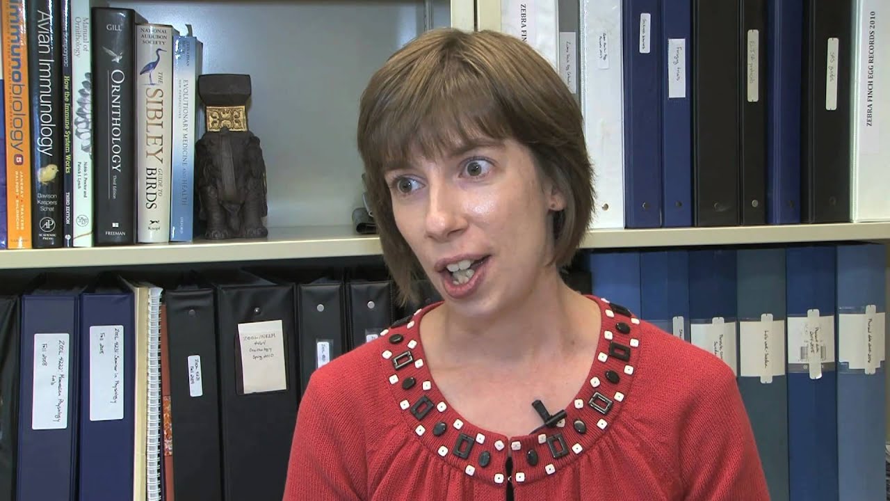 Jennifer Grindstaff - Zoology Professor - YouTube