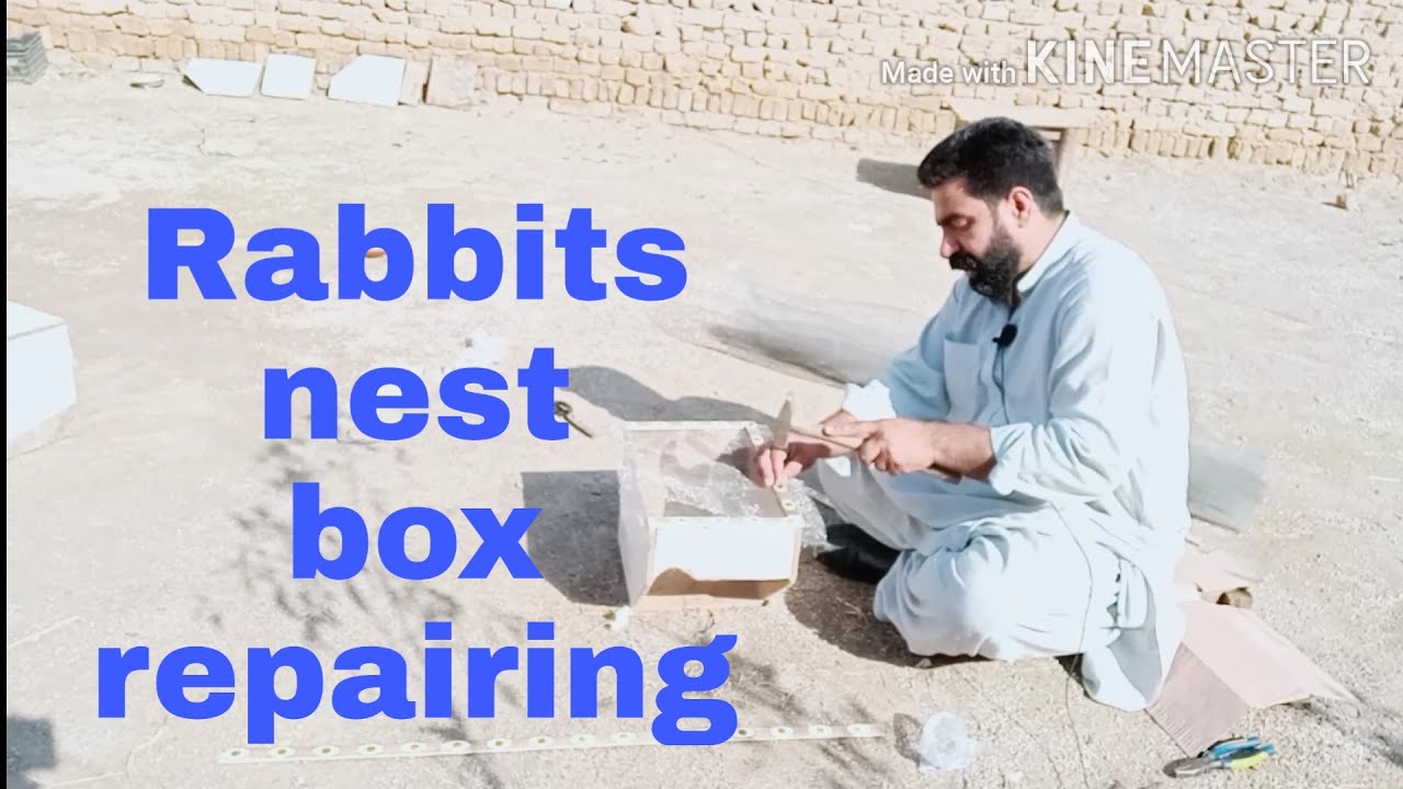 Rabbits nest box||repairing video||Abbas Rabbits farm Pakistan||Rabbits ...