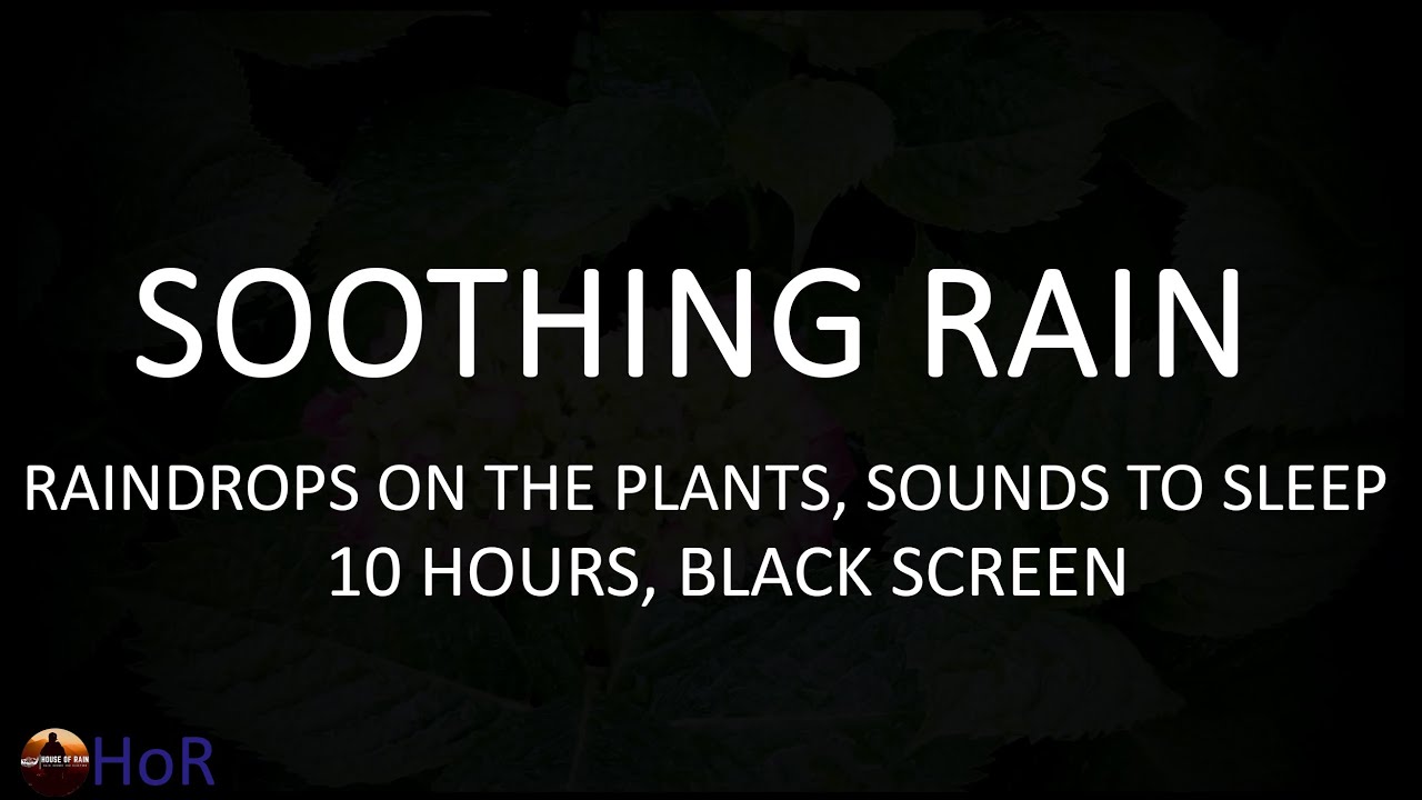 Soothing Sounds of Raindrops on the Leaves | Fall Asleep Fast Rain ...