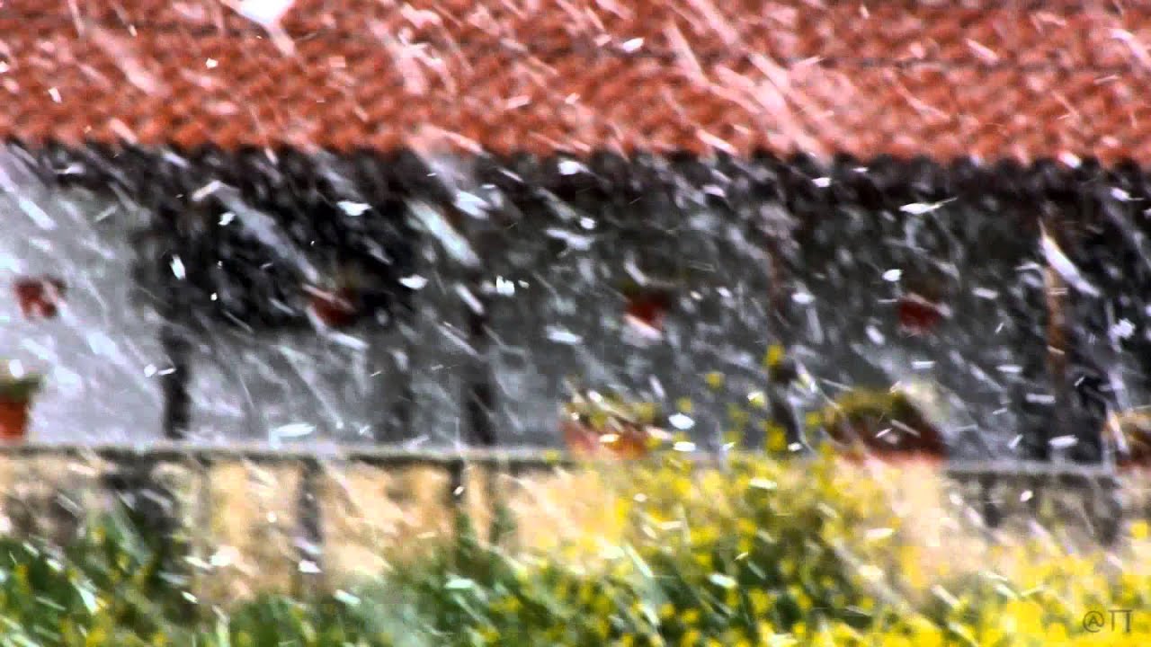ΧΙΟΝΙΑ ΣΤΗΝ ΛΑΚΑΤΑΜΙΑ 19/02/15 - YouTube