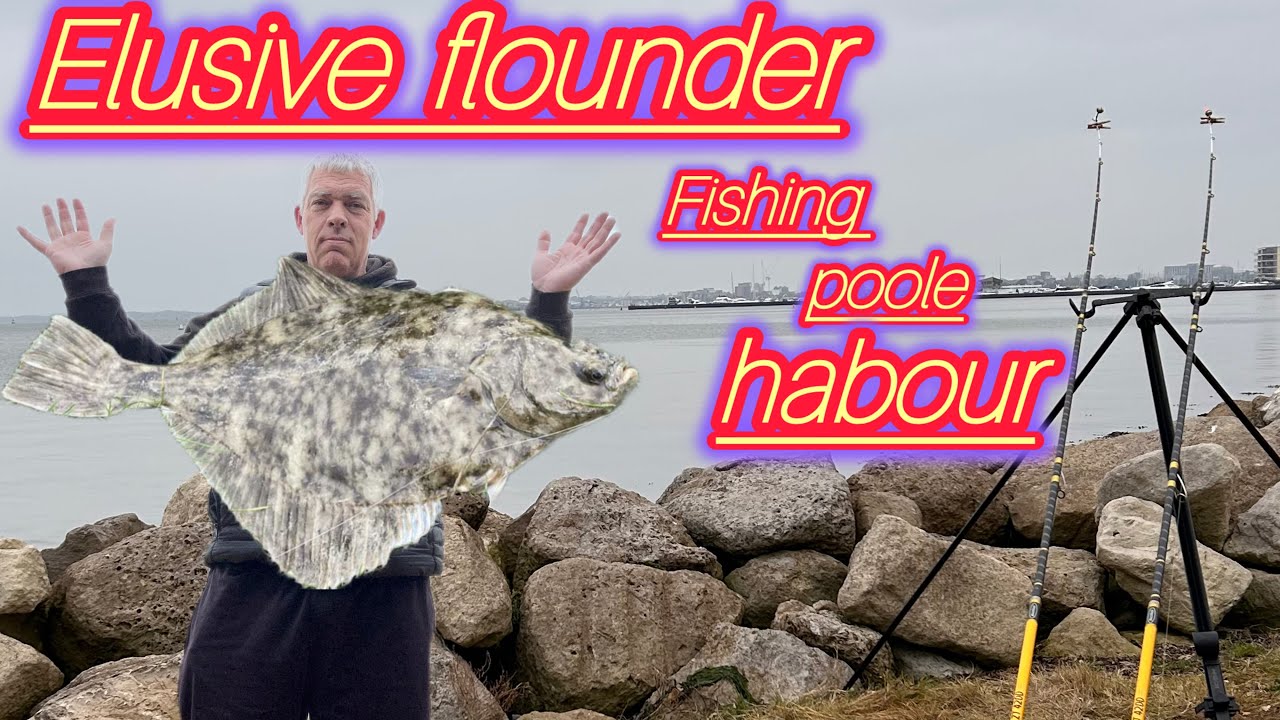 Elusive Flounder In Poole Harbour Sea Fishing - YouTube