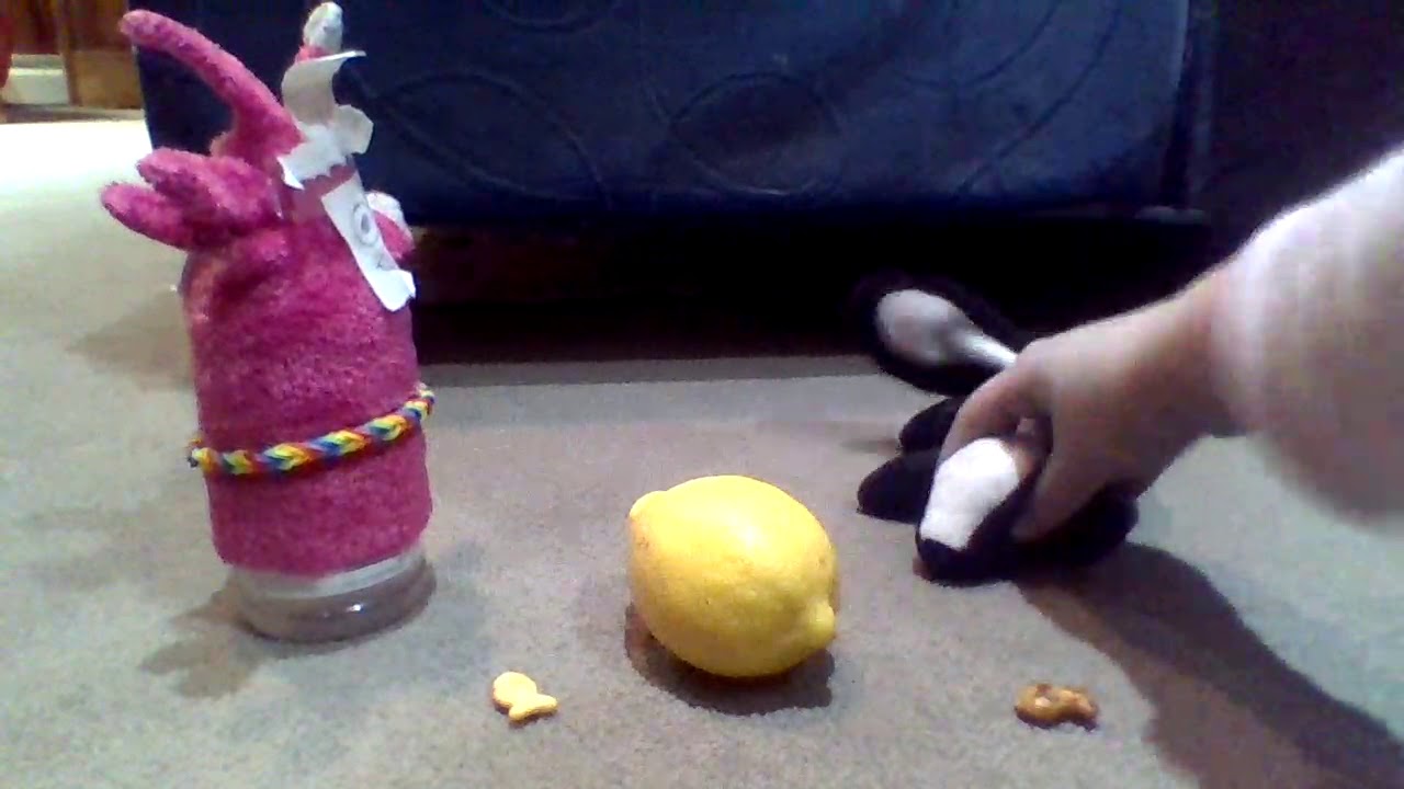 Fish Friends Forever - YouTube