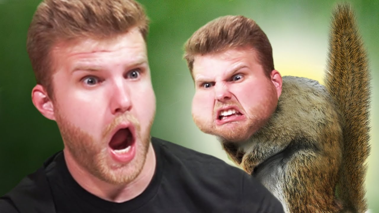 YouTuber's Spirit Animals! | Photoshop Fails - YouTube