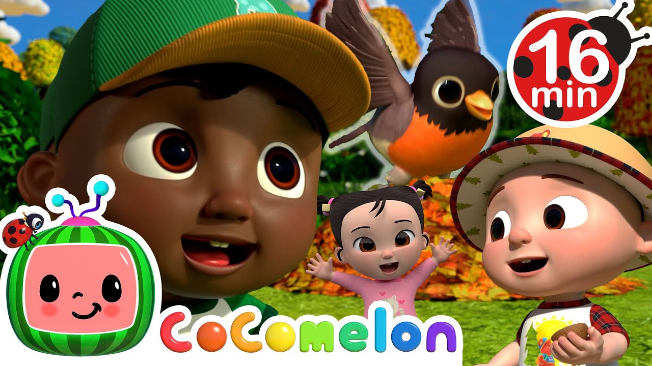 Outdoor Fun with Cody | CoComelon - It's Cody Time | CoComelon Songs ...
