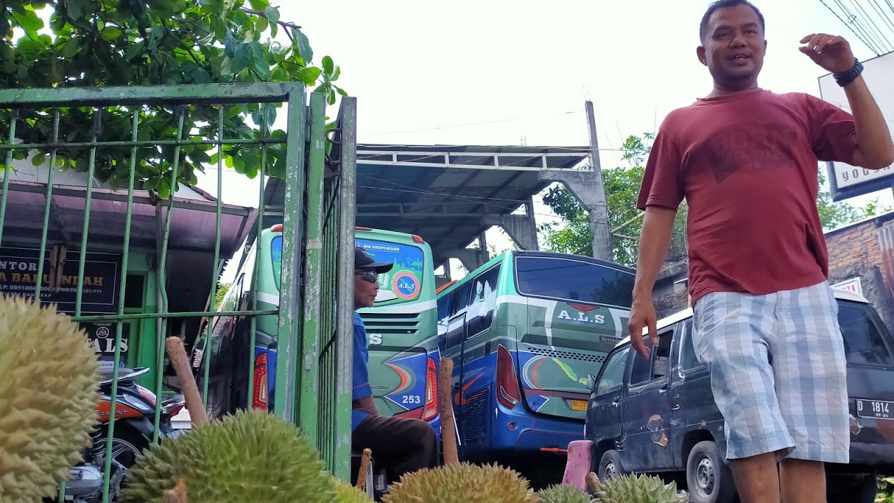 AKHIRNYA LUDES‼️DURIAN DIBORONG BAPAK NN DENGAN HARGA MAHAL‼️ || MENDEM ...