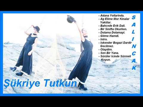 ŞÜKRİYE TUTKUN, SALINCAK..