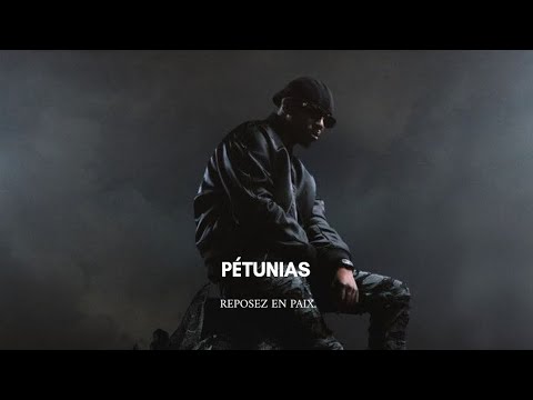 Werenoi - Pétunias ( Club tribute by Dj Aggressive )