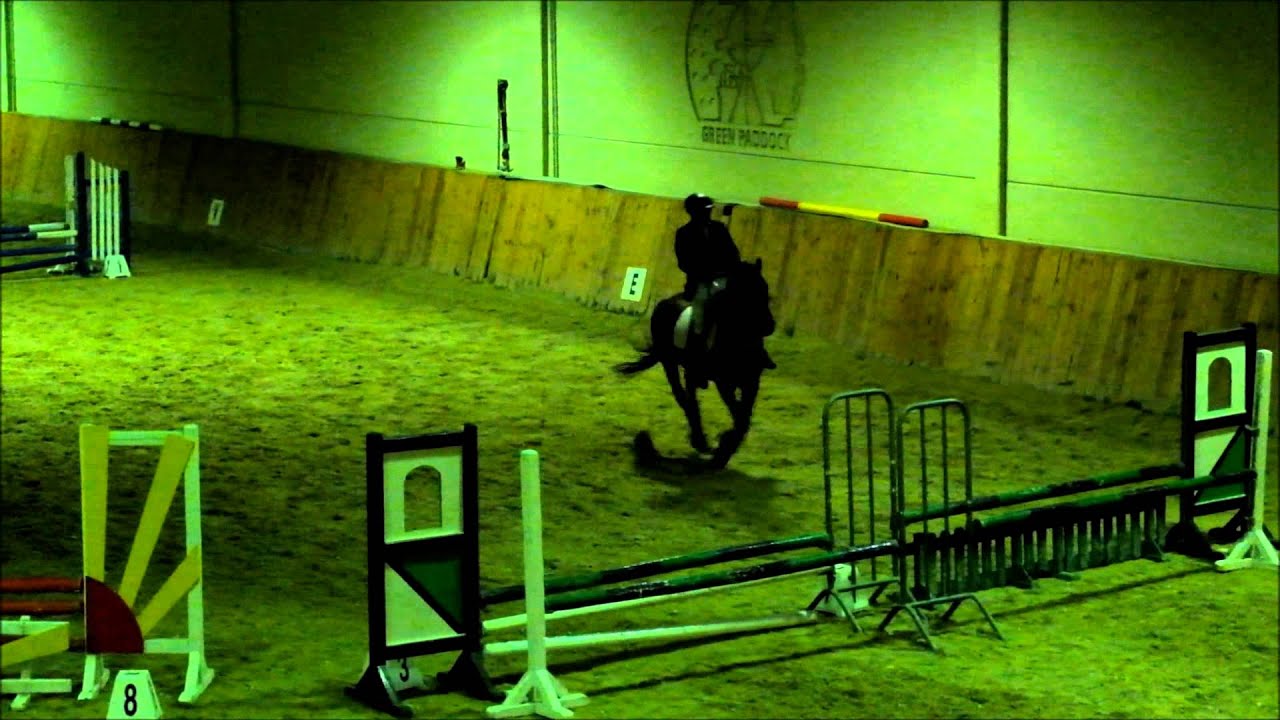 CONCURSO AFINES Green Paddock 15 11 2014 - YouTube