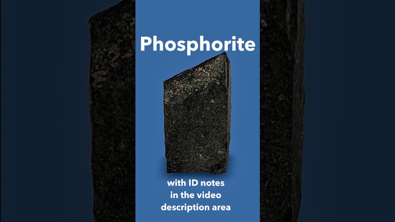 Sedimentary Phosphorite ID'd #shorts - YouTube