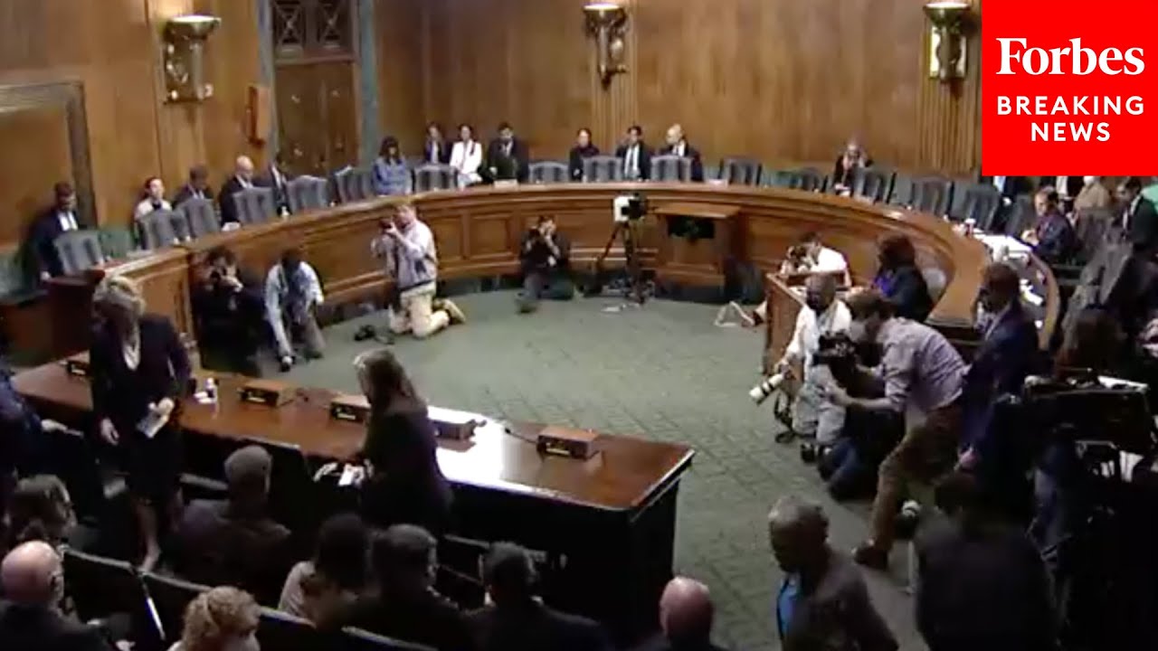 Circuit Court Nominees Face Senate Judiciary Committee - YouTube