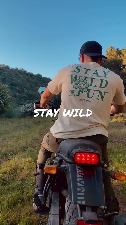 Wild and fun 🦌🌲 #adventure #asmr #explore #himalayan #landscape # ...