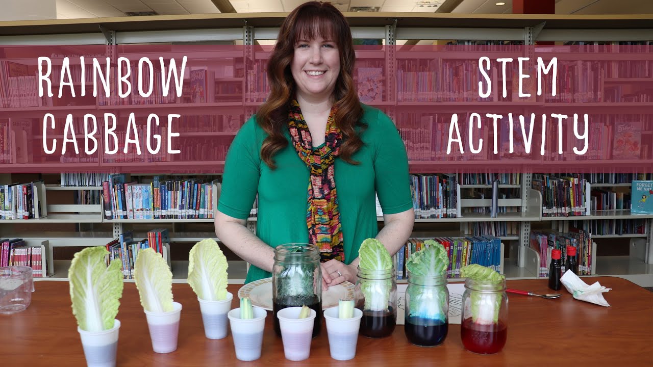 Rainbow Cabbage STEM Activity - YouTube