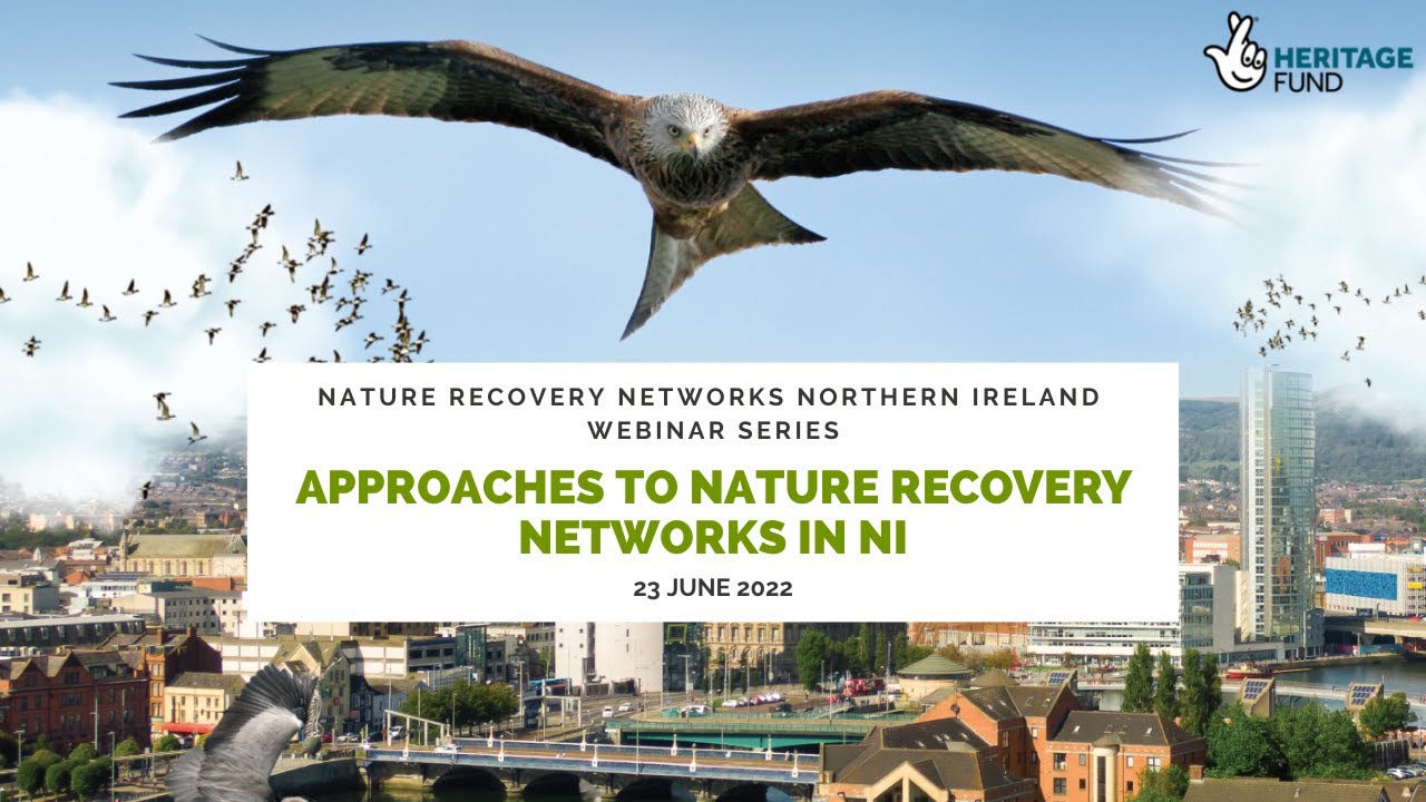Approaches To Nature Recovery Networks In NI - YouTube