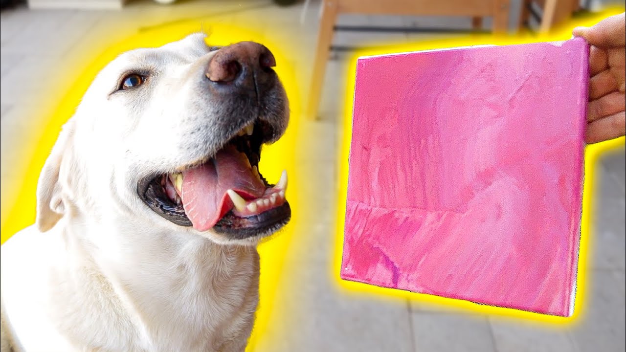 Dogs Paint A Masterpiece!!! - YouTube