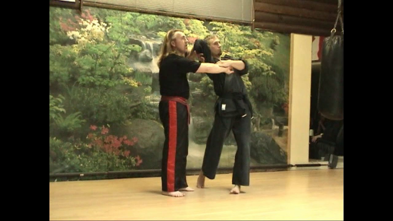 Introduction and demonstration with Daniel Verkerke 2003 - YouTube
