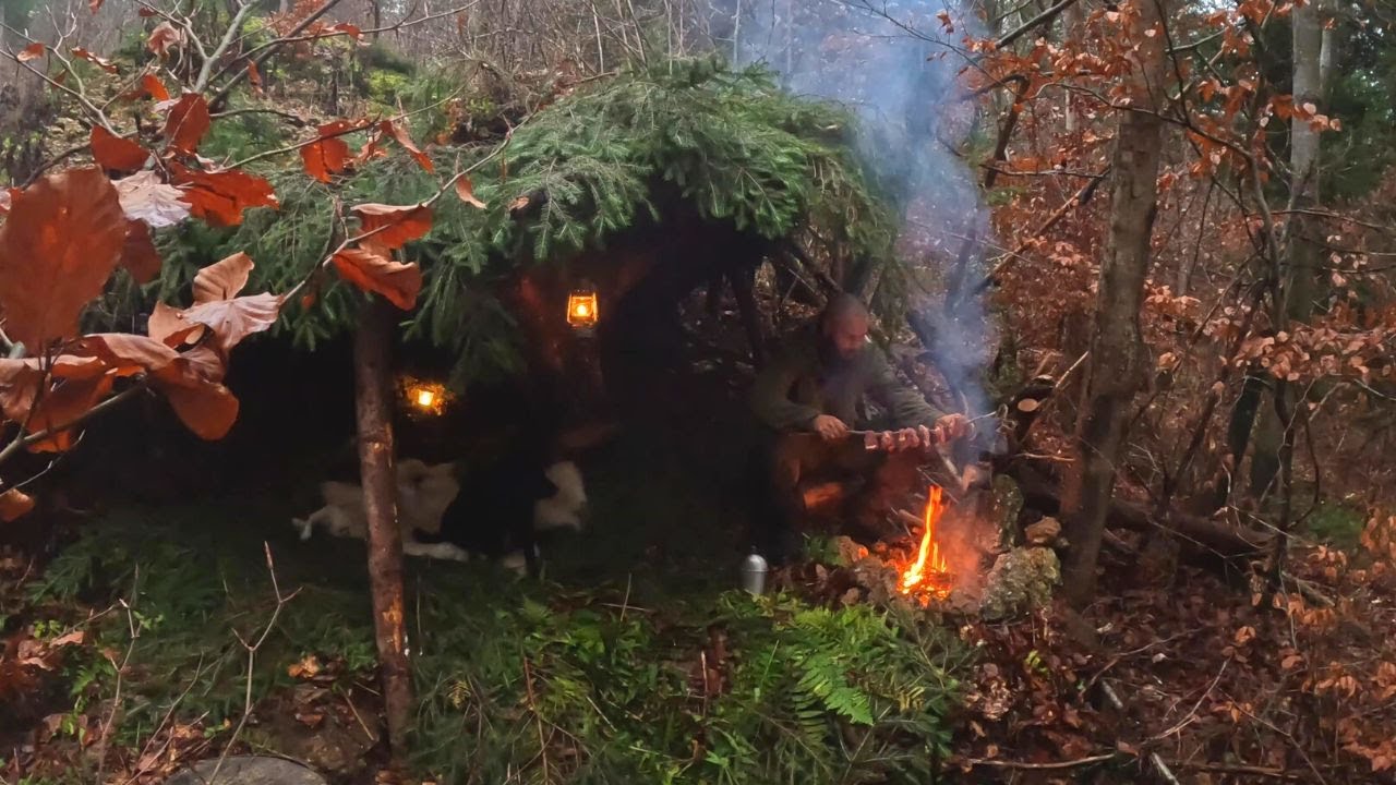 Tree root bushcraft shelter, rainy night and primitive grilled pork ...