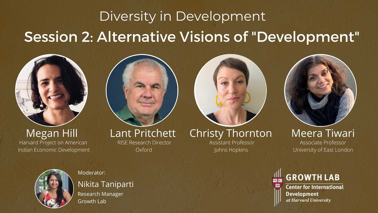 Diversity in Development: Alternatives to "Development" - YouTube