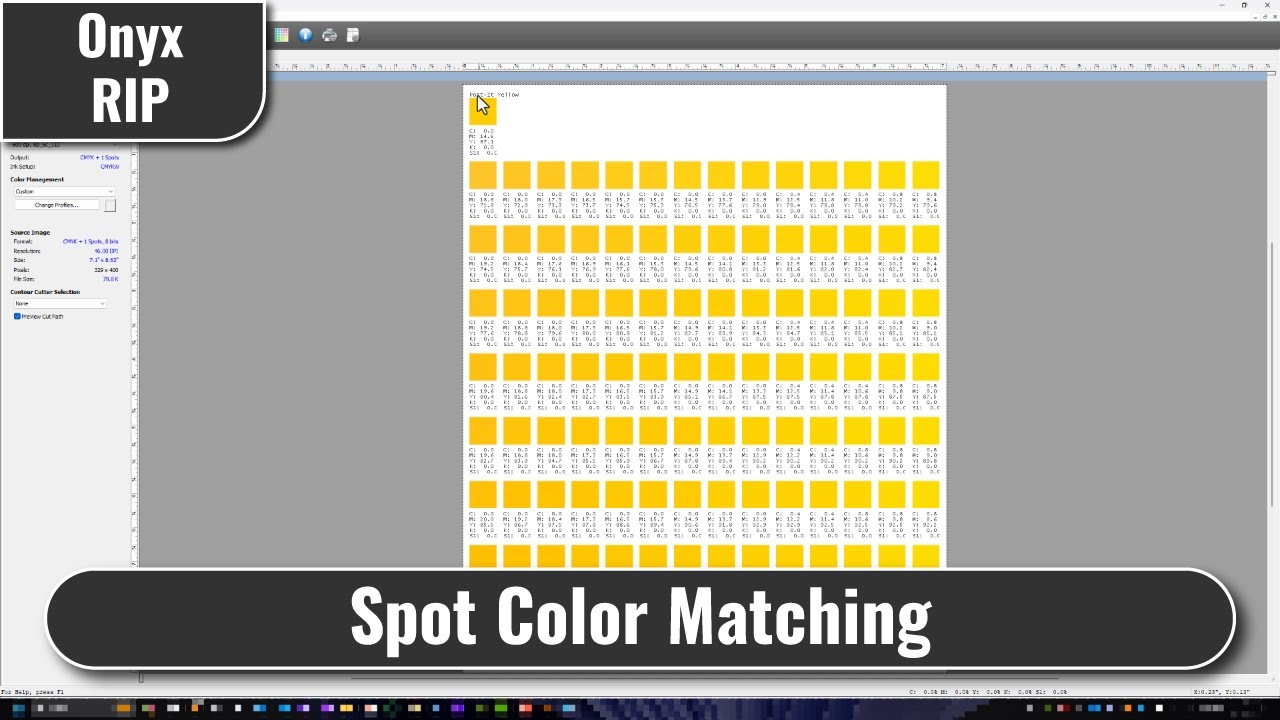 Onyx RIP Custom Spot Colors - YouTube