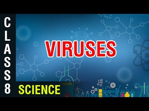 Viruses | 8th Class Science | Digital Teacher - YouTube