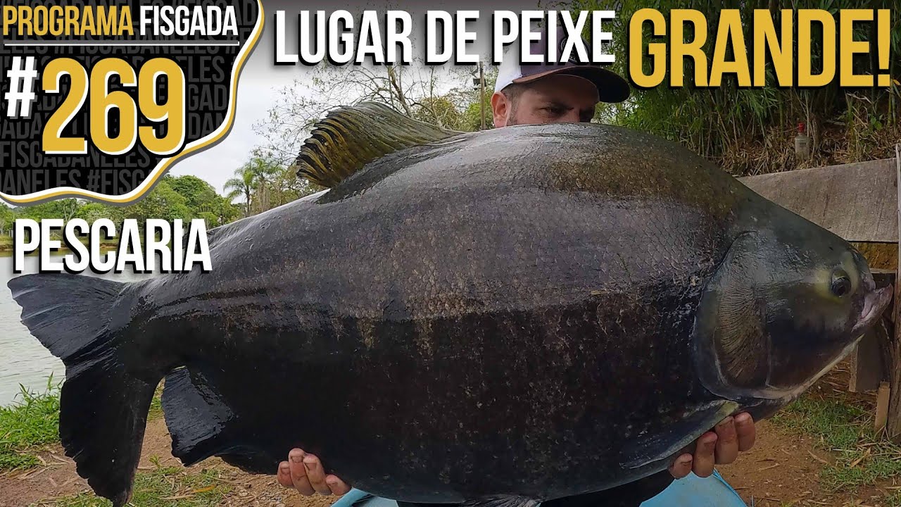 LUGAR DE PEIXE GRANDE!!! (PESCARIA) - YouTube