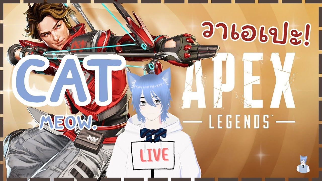 | Cat Meaw. | LIVE วาเอเปกกก - YouTube