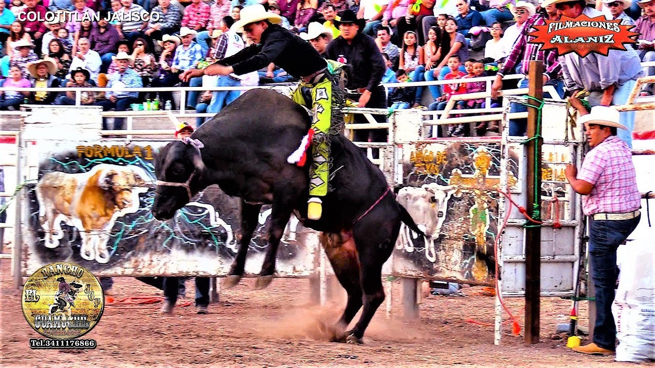 LE CAYÓ LA JEFE DE JEFES A RANCHO EL GUAMÚCHIL EN COLOTITLÁN JALISCO ...