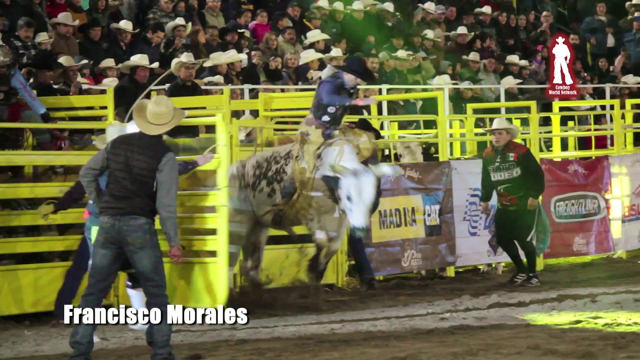 Rodeo Saltillo Expo & Fest - Super Bull 2019 - YouTube