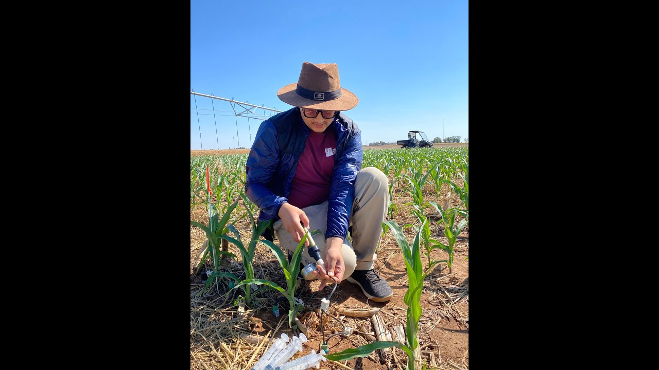 Soil water extraction using soil solution access tube - YouTube