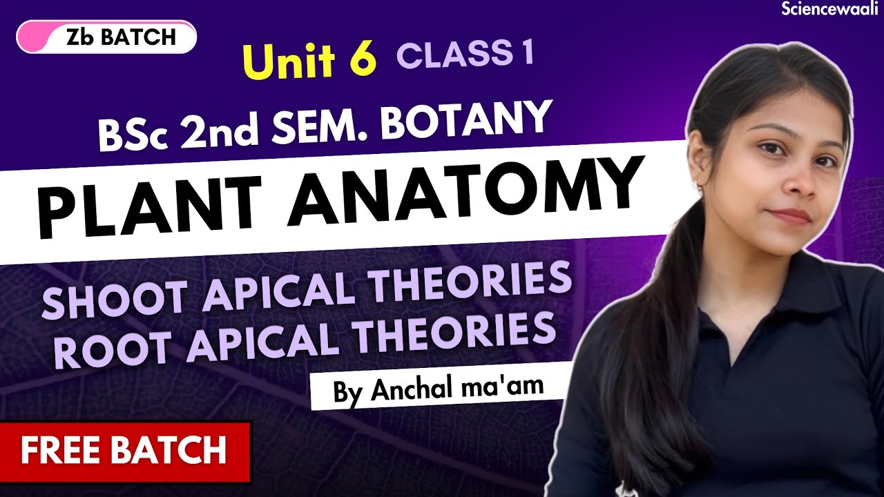 Plant Anatomy bsc 1st year 2nd semester unit 6💯🔥Shoot apical theories|Root Apical theories - YouTube