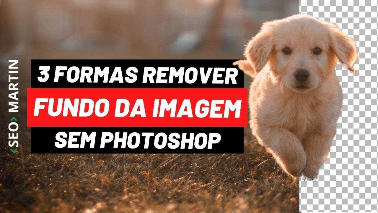Como Remover Fundo de Imagem Sem Photoshop - Imagem com Fundo ...