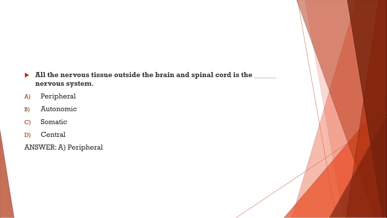 MRB PHYSIOTHERAPY 2019 IMPORTANT QUESTIONS PART 2 - YouTube