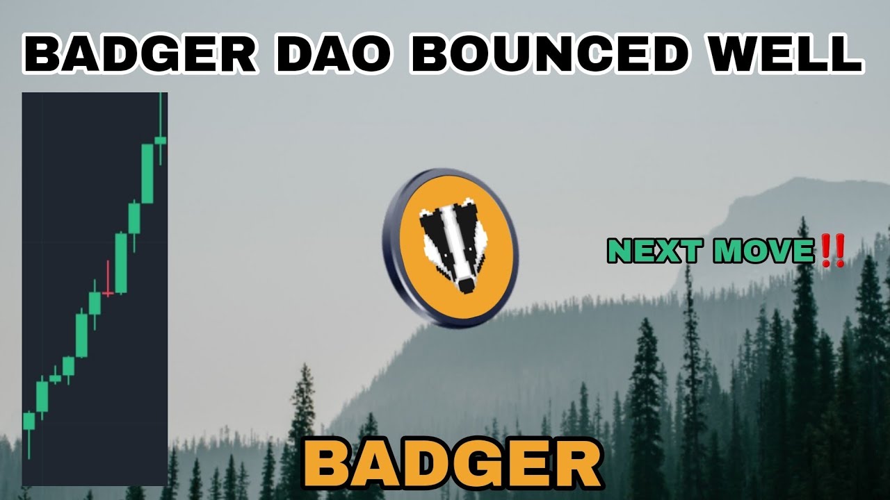 BADGER COIN BOUNCED WELL IN DECEMBER 2024‼️ BADGER DAO CRYPTO NEXT MOVE ...