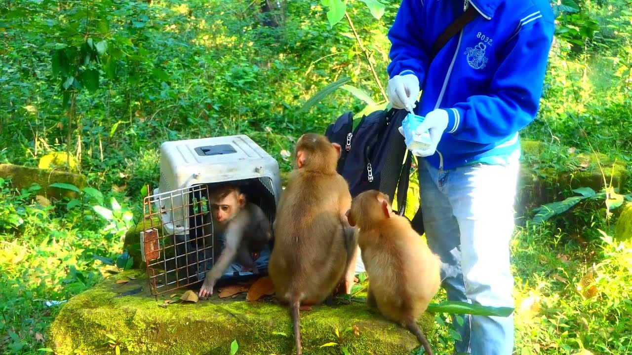 Yat prepared for baby medical and vitamins - YouTube