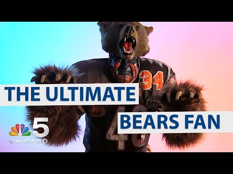 What Kind Of Bear Is The Chicago Bears Mascot