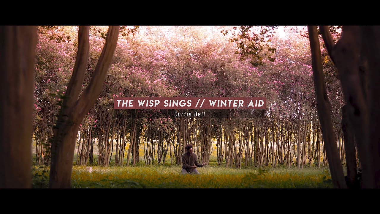 The Wisp Sings // Winter Aid (Choreo) - YouTube