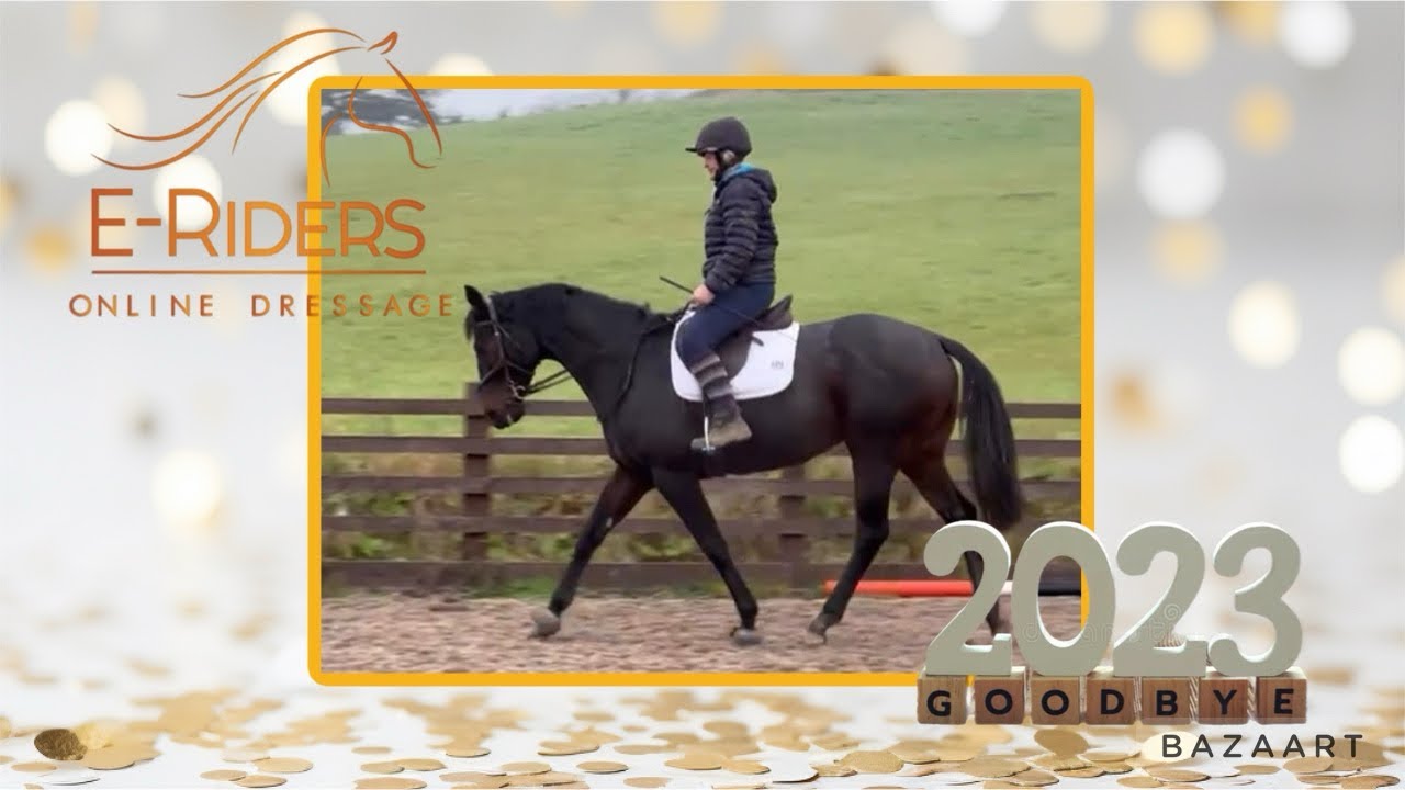 Dressage results day | ERiders test results for November and we say ...