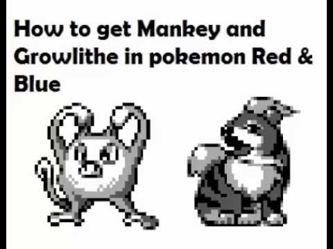 How to get Mankey & Growlithe in pokemon Red & Blue - YouTube