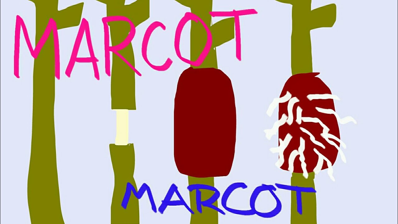 HOW TO MARCOT(ROOTING) #plant #trending #roots #agri #viralvideo #farm ...
