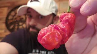 I Grew It, I Chew It: Episode 4 - The Peter Pepper